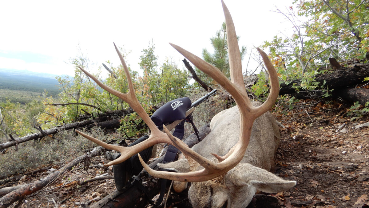 How to Clean a Rifle Barrel | Easy Guide by Craigs Custom RiflesBarrel ...